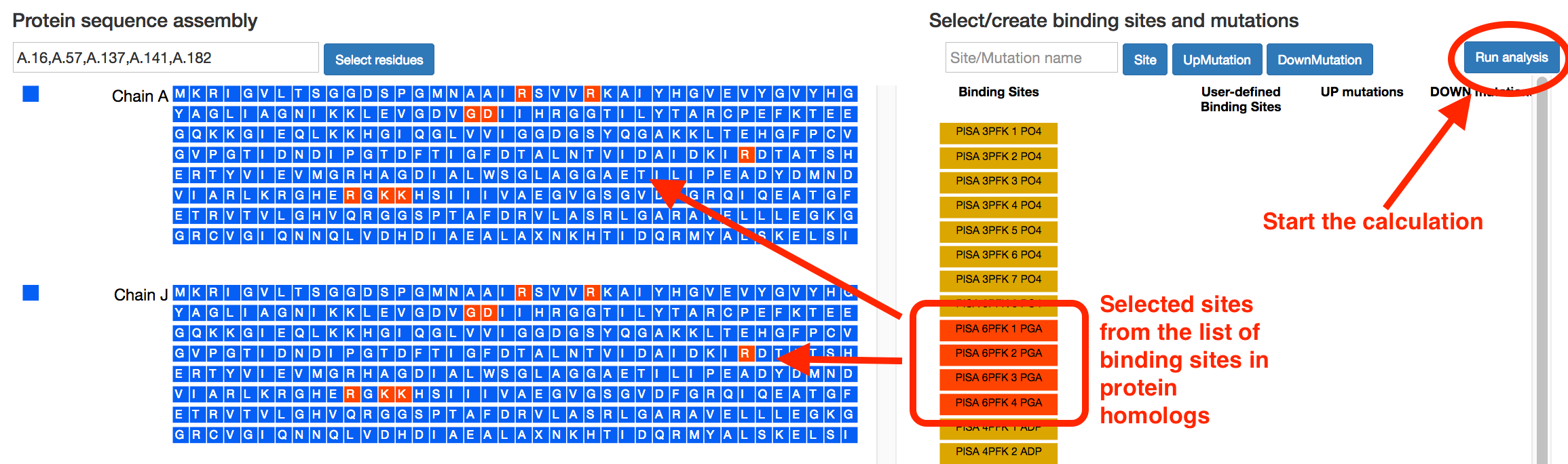 Activating homolog binding sites